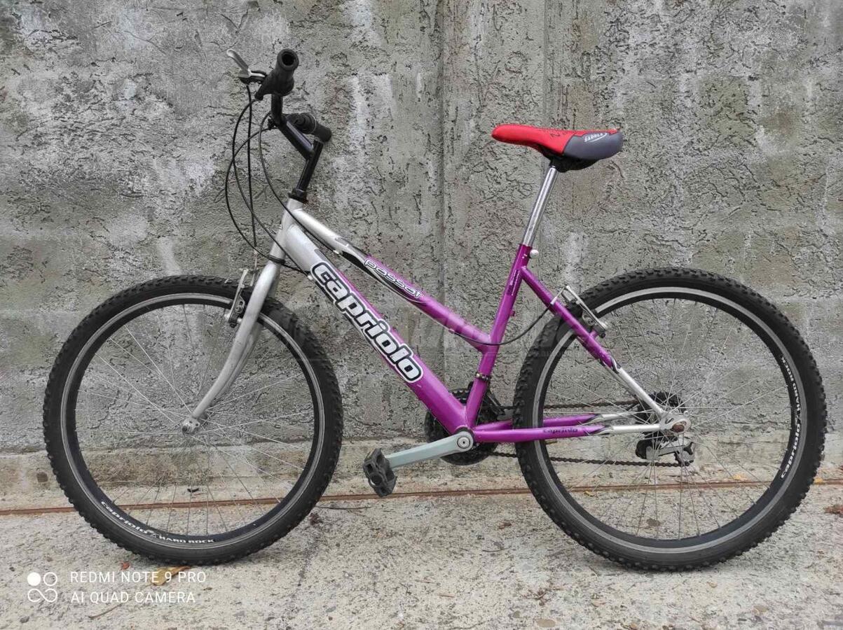 Capriolo - PASSAT - Cijena 110 € - Crna Gora Podgorica Podgorica (uži ...