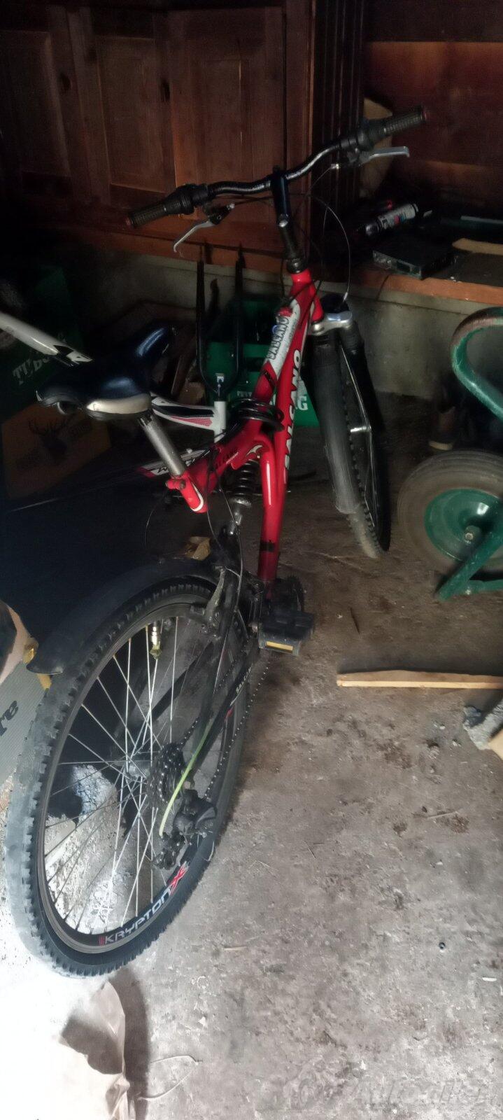 Salcano - nova - Cijena 70 € - Crna Gora Pljevlja > Okolina grada ...