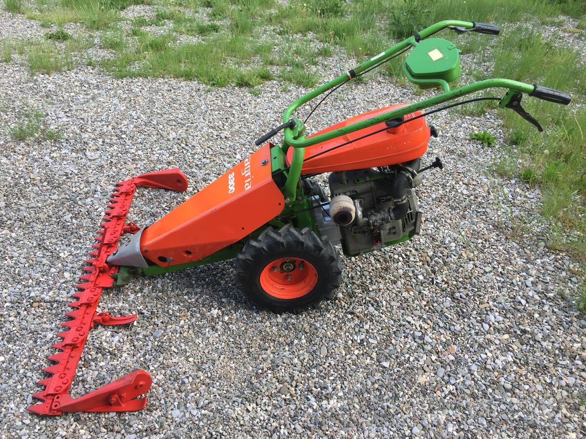 Agria - 3300 - Cijena 900 € - Crna Gora Bijelo Polje > Okolina grada ...