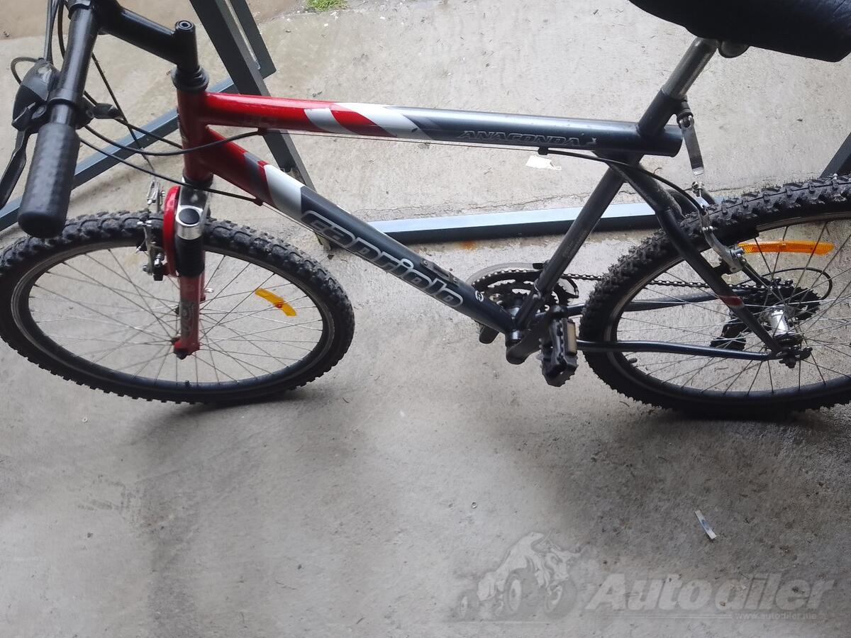 Capriolo - xl - Cijena 100 € - Crna Gora Berane > Okolina grada Bicikli | AutoDiler