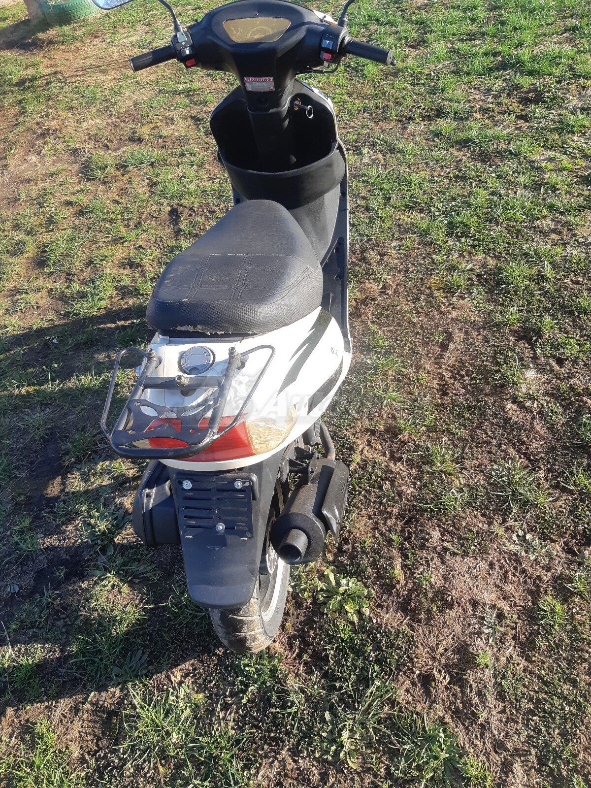 Peda - Piccolo - Cijena 350 € - Crna Gora Podgorica Masline Motori ...