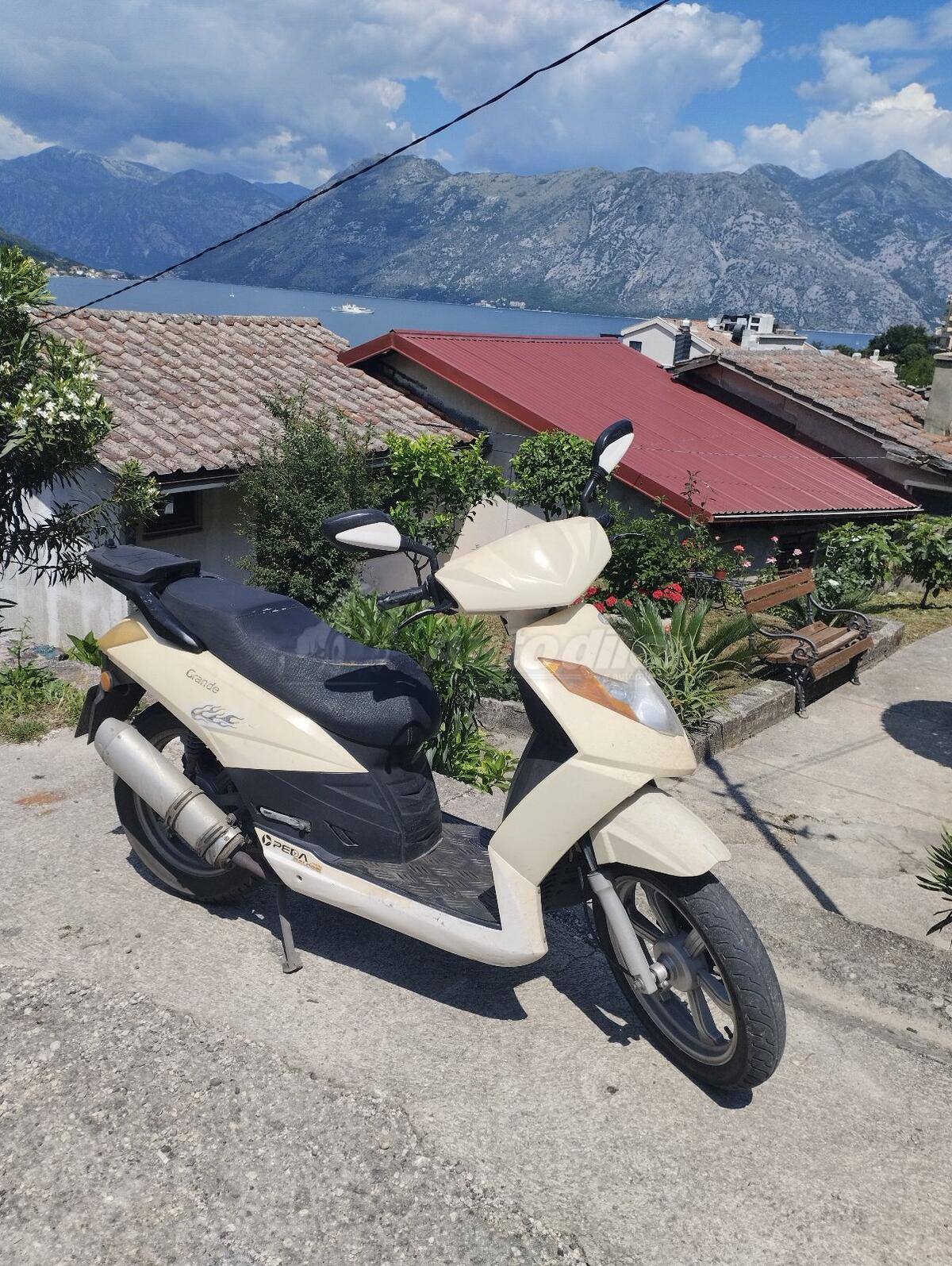 Peda - grande 150 - Cijena 800 € - Crna Gora Kotor Dobrota Motori ...
