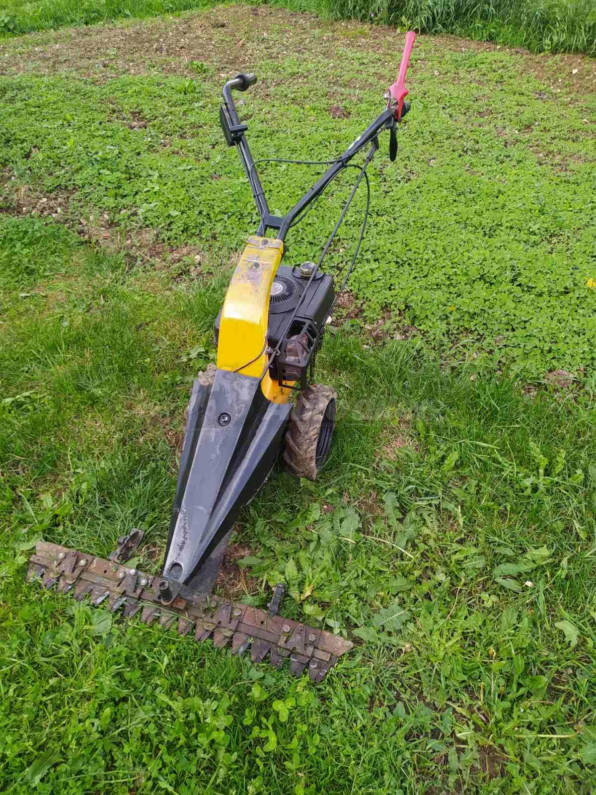 Still - Styl - Cijena 450 € - Crna Gora Berane Centar grada ...