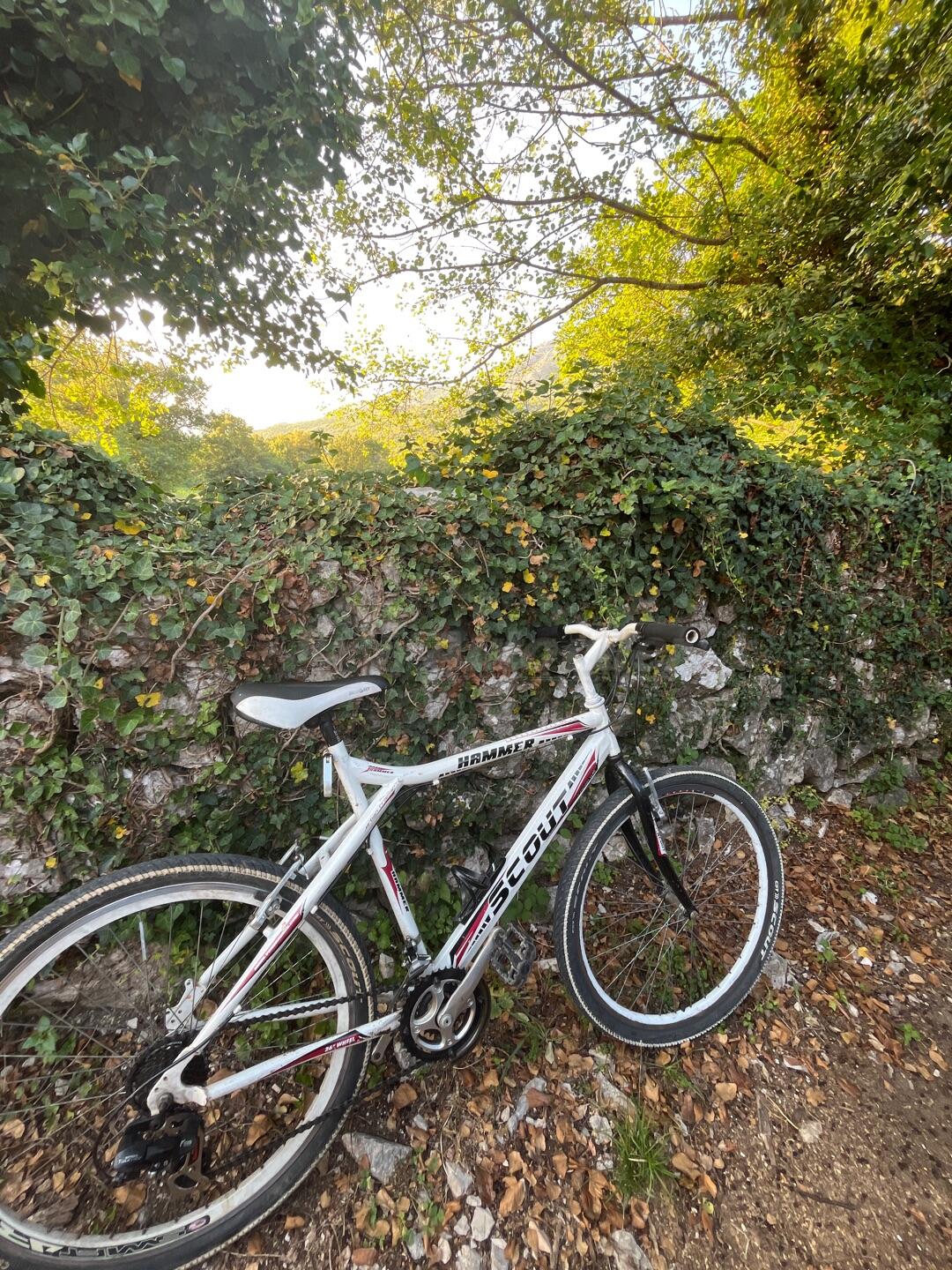 Scout - Biciklo - Cijena 70 € - Crna Gora Herceg Novi Centar grada ...