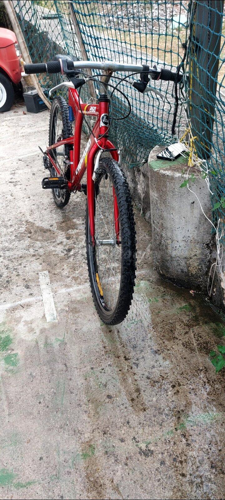 Capriolo - 260 - Cijena 50 € - Crna Gora Kotor Radanovići Bicikli | AutoDiler