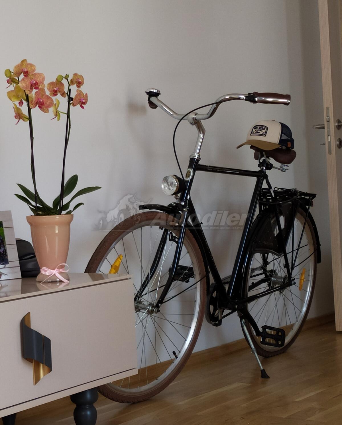 Polar - Gilipter - Cijena 120 € - Crna Gora Podgorica Podgorica (uži ...