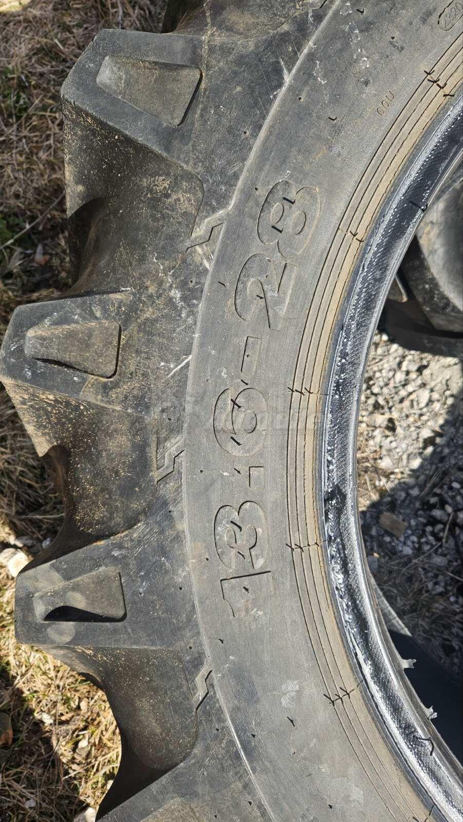 Bauer - gudiyer i ozka - Cijena 250 € - Crna Gora Šavnik Krnja Jela ...