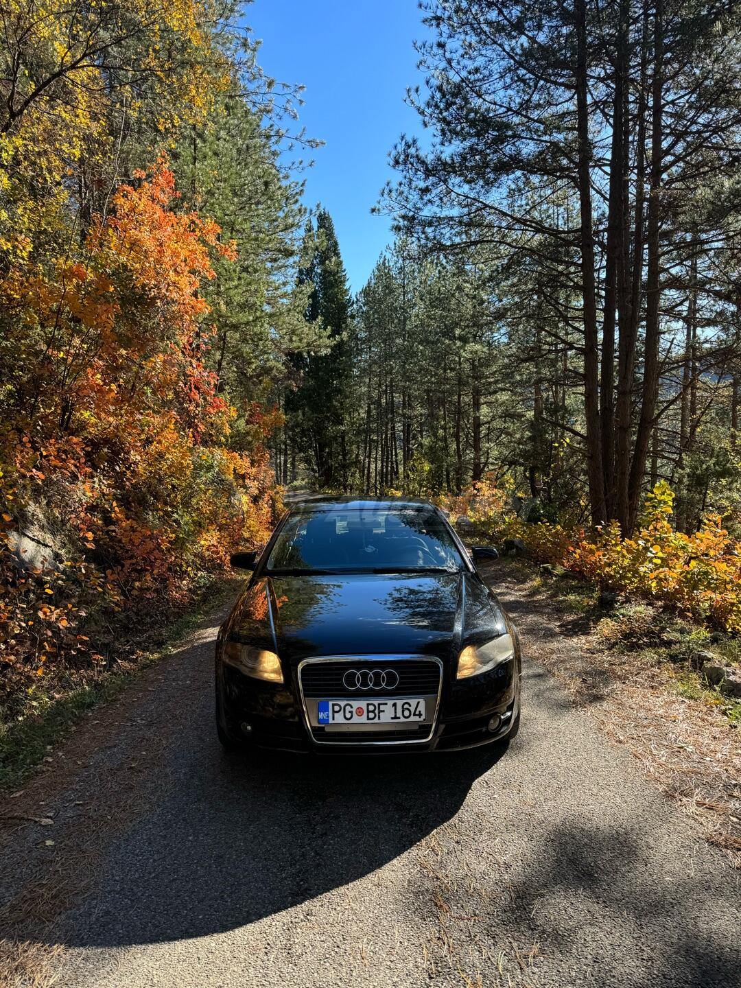 Audi - A4 - B7 1.9 TDI 116ks - Cijena 5500 € - Crna Gora Podgorica ...