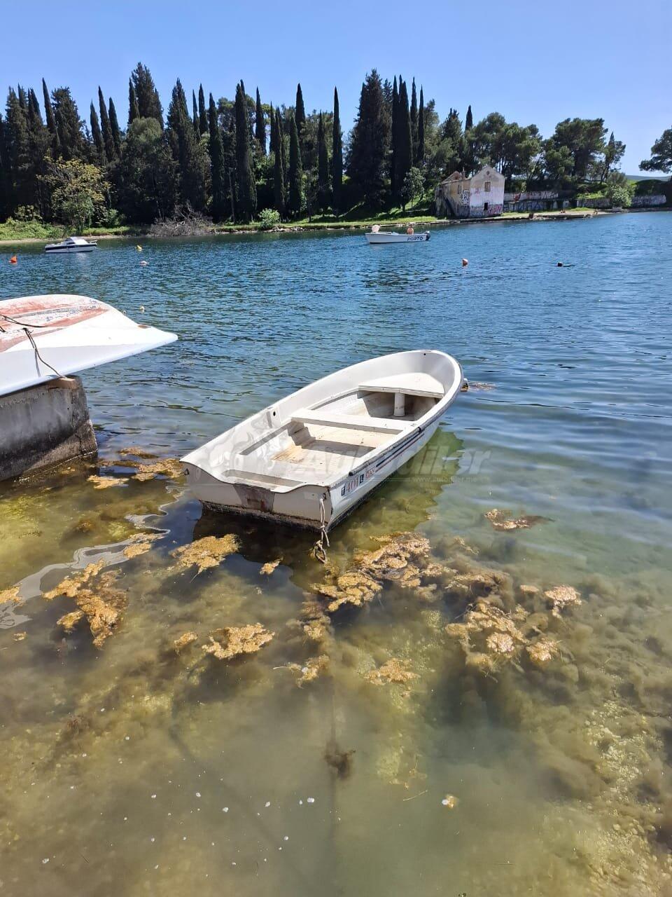 Elan - 401 - Cijena 500 € - Crna Gora Tivat Tivat (uži dio) Plovila | AutoDiler