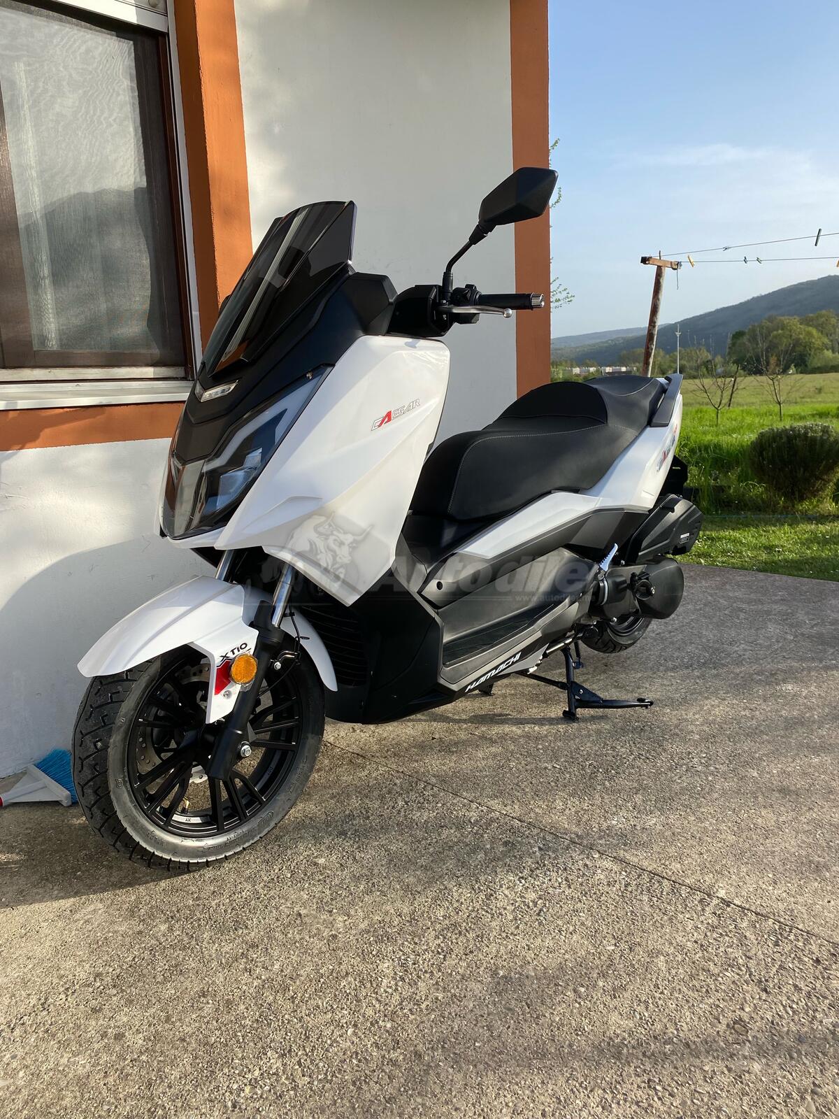 HM - HAMACHI taro t10 - Cijena 2000 € - Montenegro Danilovgrad > City ...