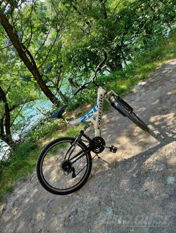 Capriolo - CTX 250 - Cijena 100 € - Crna Gora Bijelo Polje Bijelo Polje (uži dio) Bicikli ...